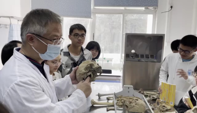 人体解剖生理学实验课标本模型观察片段