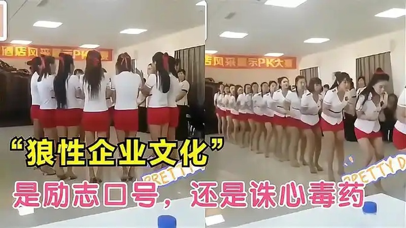 盘点那些狼性企业文化:这到底是励志口号,还是诛心毒药啊