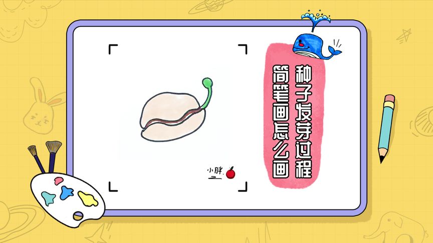 种子发芽过程简笔画怎么画?快来学#寓教于乐,寓学于乐#