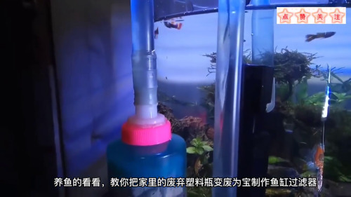 教你用塑料瓶制作鱼缸过滤器