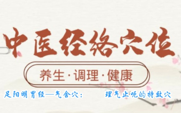 和我一起学中医之每日一穴足阳明胃经—气舍穴:理气止呃的特效穴