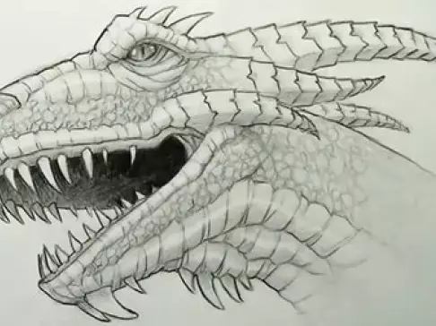 如何画出西方龙的龙头