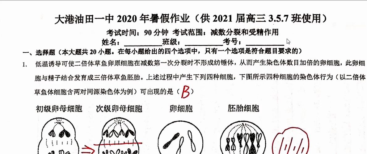 作业10减数分裂和受精作用