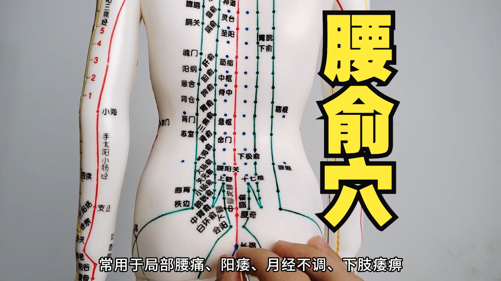 督脉/腰俞穴/增添命门之火
