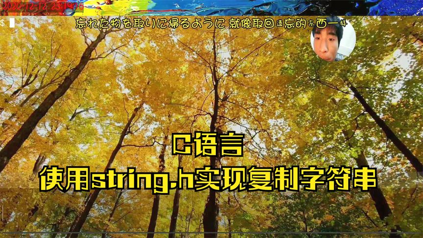 C语言标准函数库的使用,头文件(string.h)实现复制字符串的功能