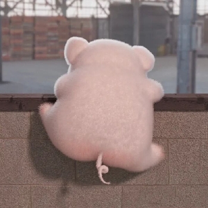 小猪未完 