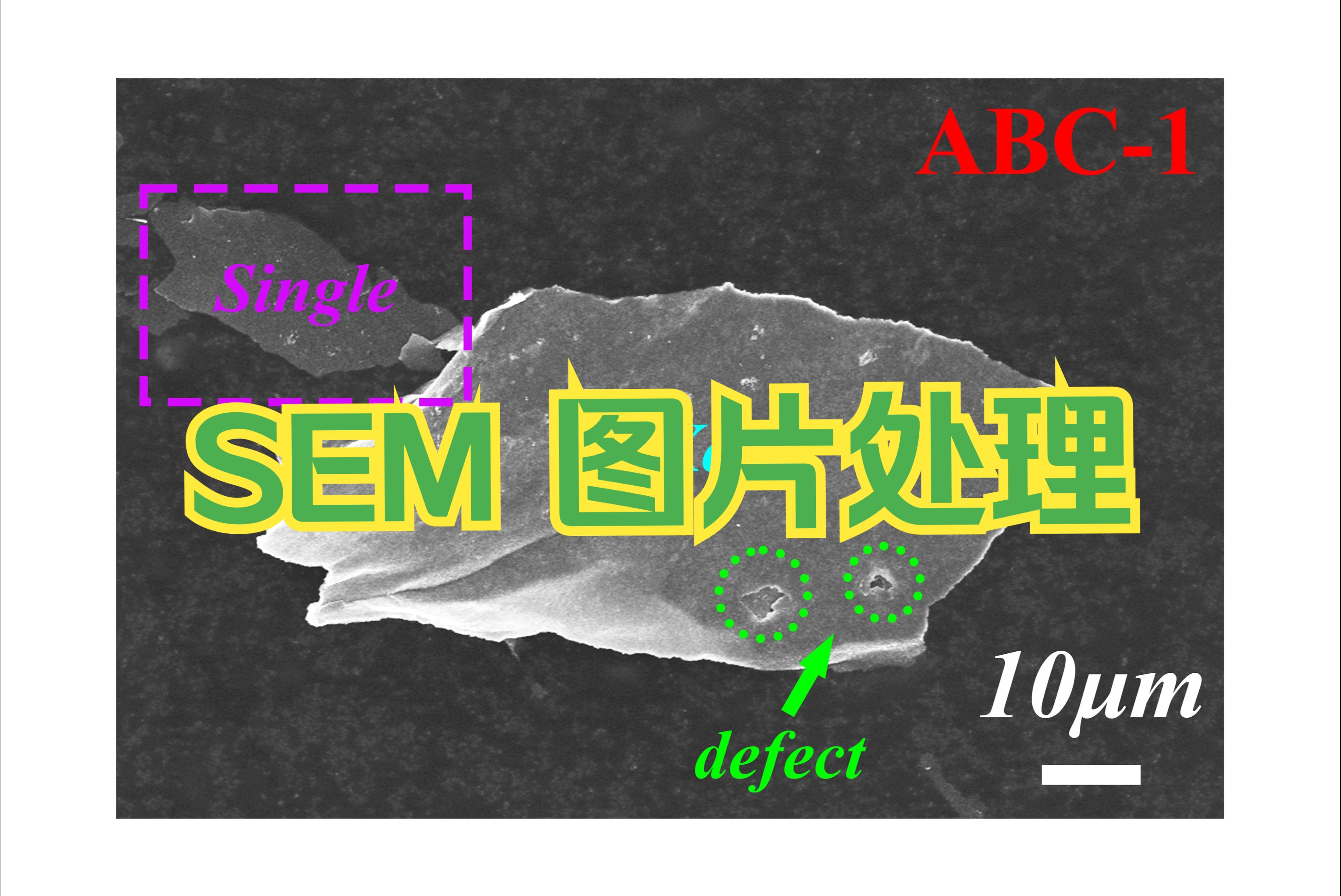 【SEM图片处理丨调亮度丨加标尺丨PS处理丨加备注丨上色】