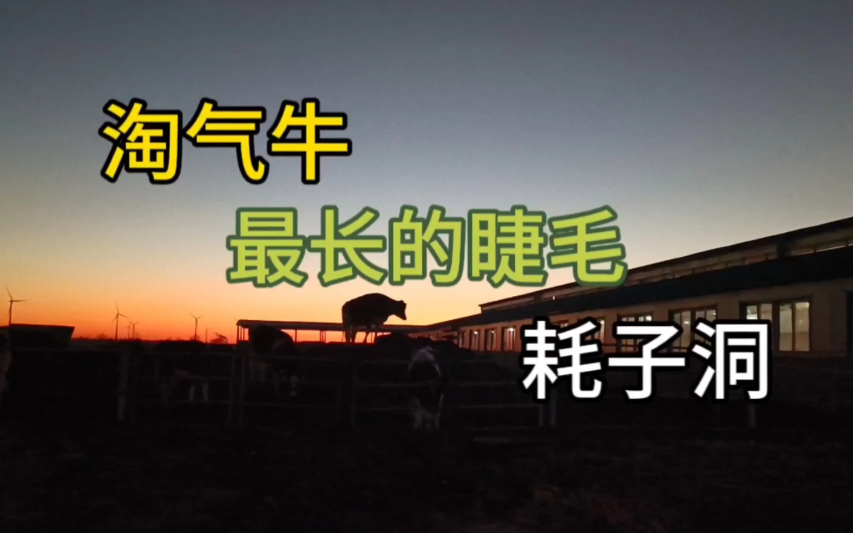 牛长睫毛:睫毛界的巨无霸!