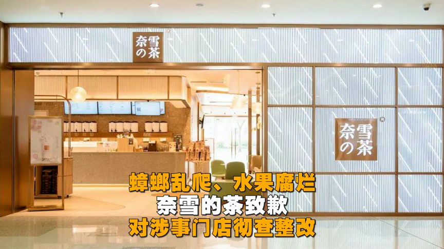 蟑螂乱爬、水果腐烂!奈雪的茶致歉 :北京两家涉事门店停业整改