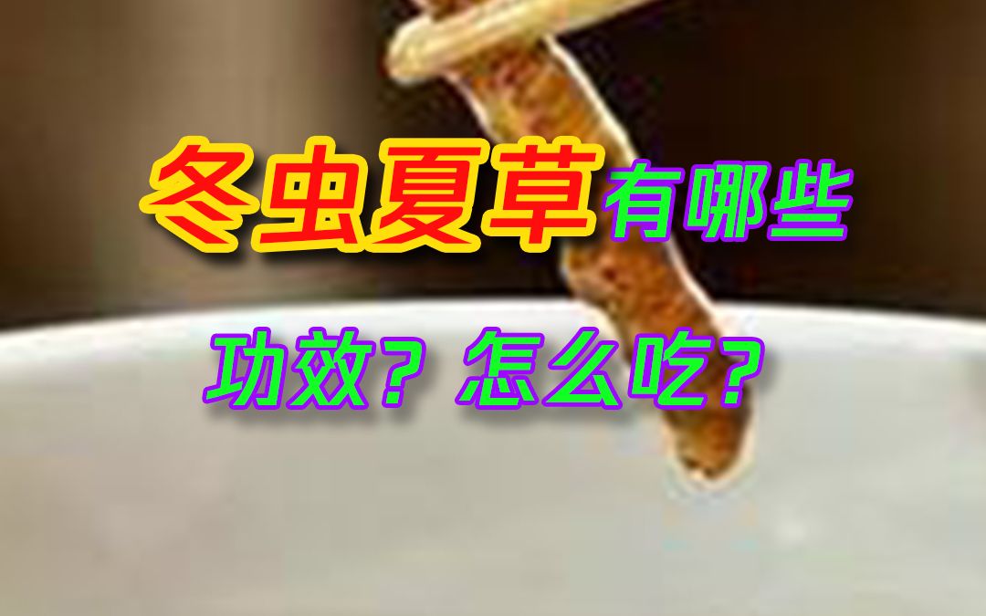 冬虫夏草有哪些功效?应该怎么吃?