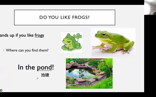 六年级(1) - 3.4 Let's Make a Paper Frog