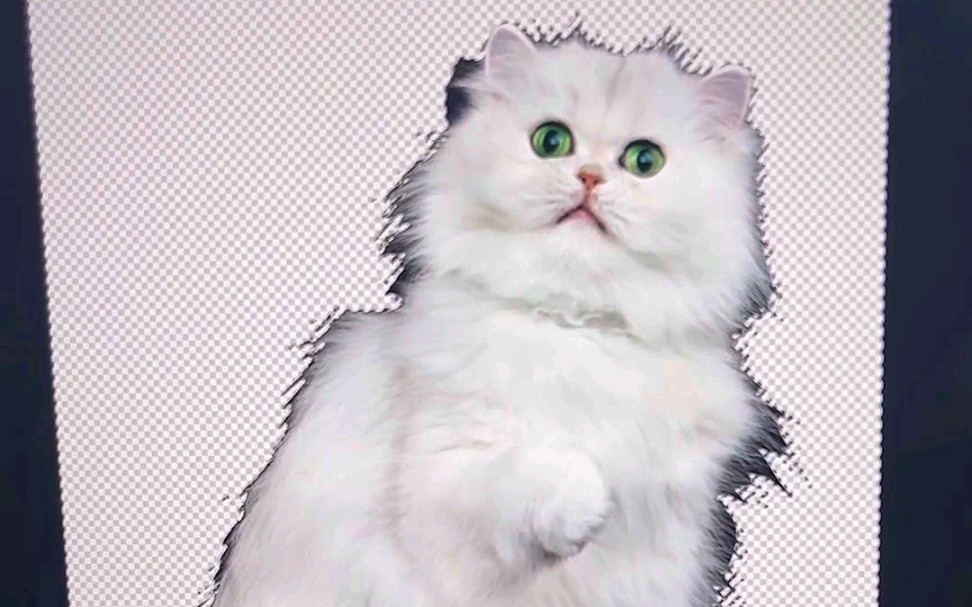 PS快速抠动物毛发,超简单!