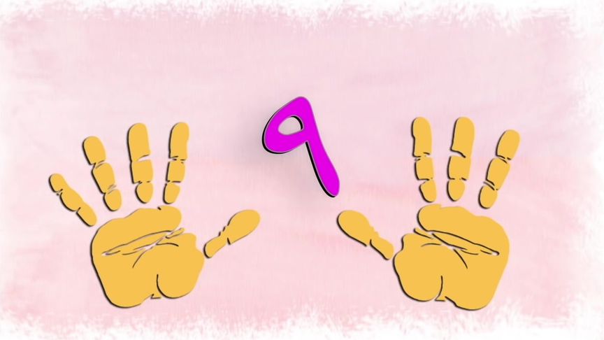 阿拉伯语数字学习,一部视频带你轻松入门掌握阿拉伯语数字!