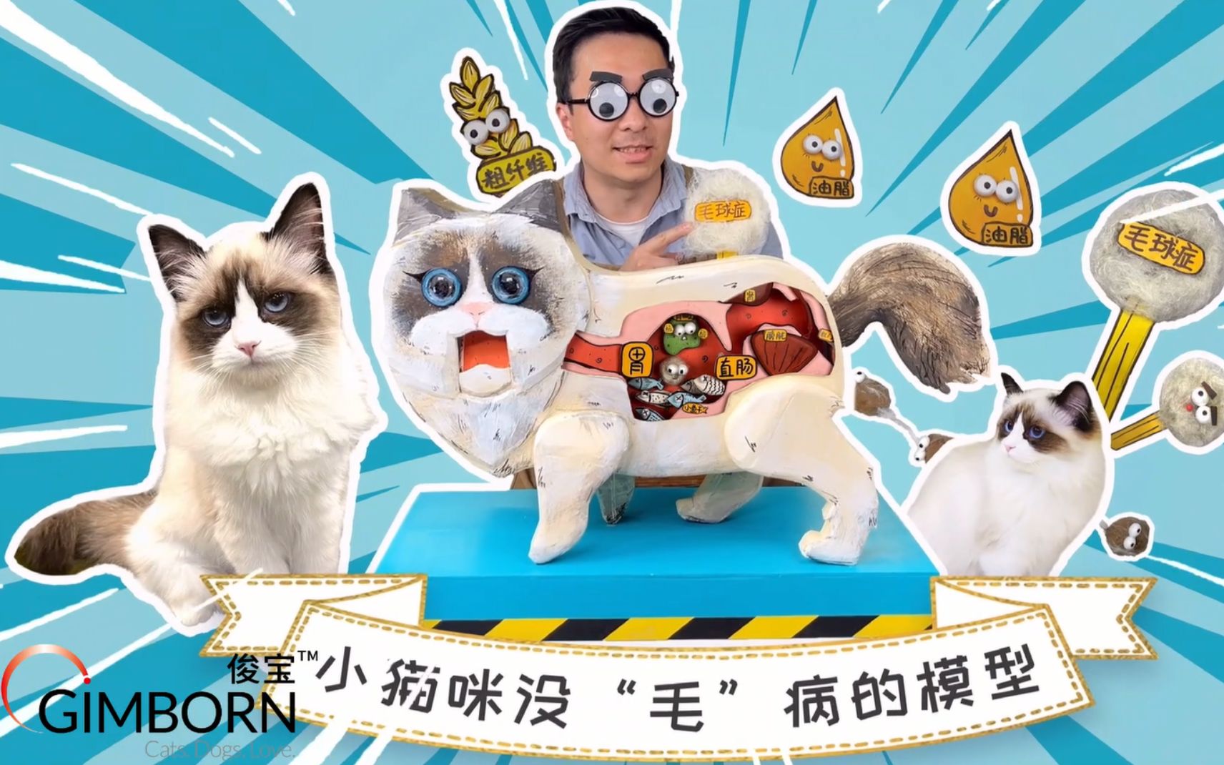 【俊宝x模型师老原儿】你看这只小猫咪有“毛”病,这样下去不行的,...