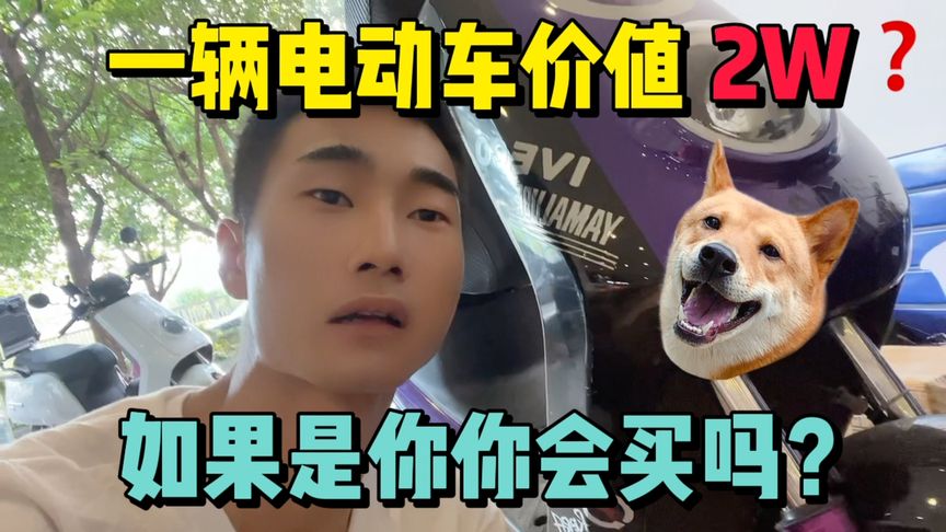 一辆电动车续航里程高达450KM速度可达140码,价值2W,你会买吗?