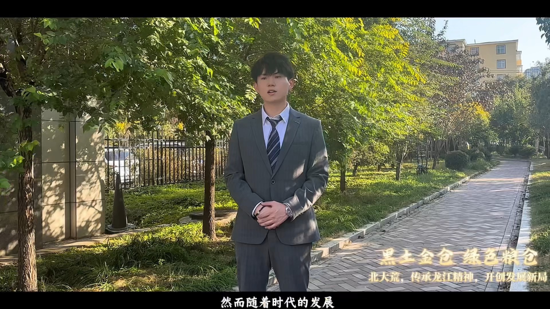 《 黑土金仓绿色粮仓-新时代北大荒从荒原到粮仓的辉煌之路》