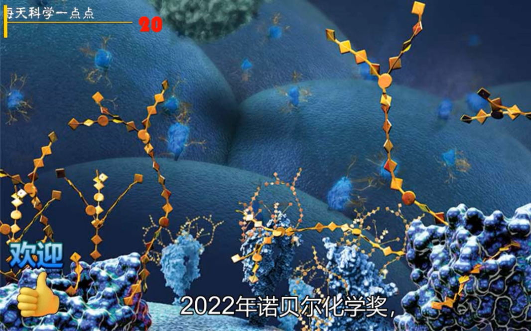 解读2022年诺贝尔化学奖,知识点满满!