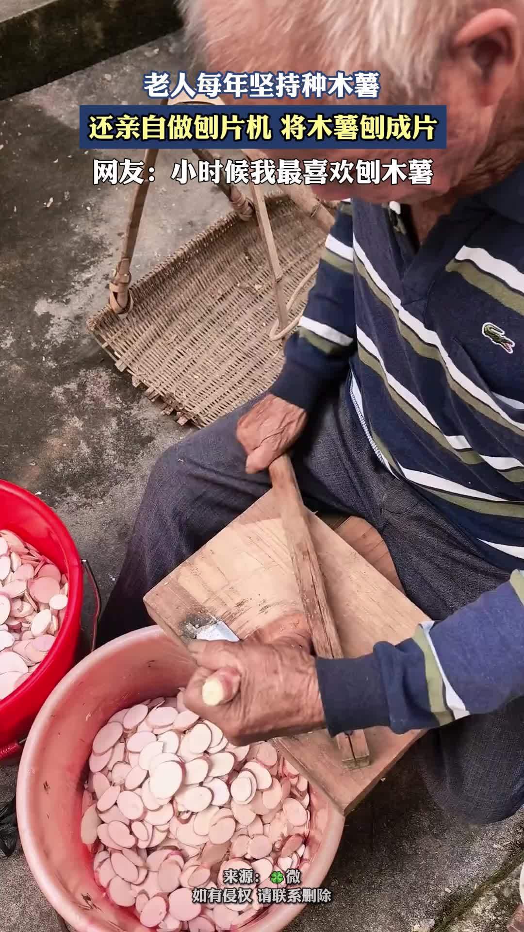 老人每年坚持种木薯,还亲自做刨片机,将木薯刨成片。
