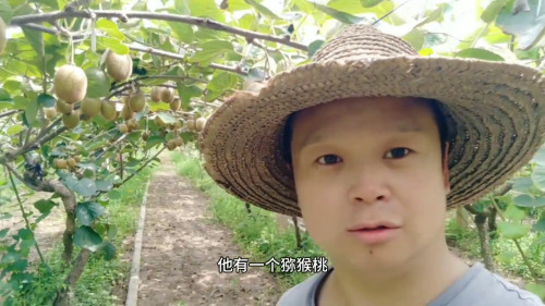 他有一个猕猴桃分你一半,这是友情,咬了一口剩下的给你