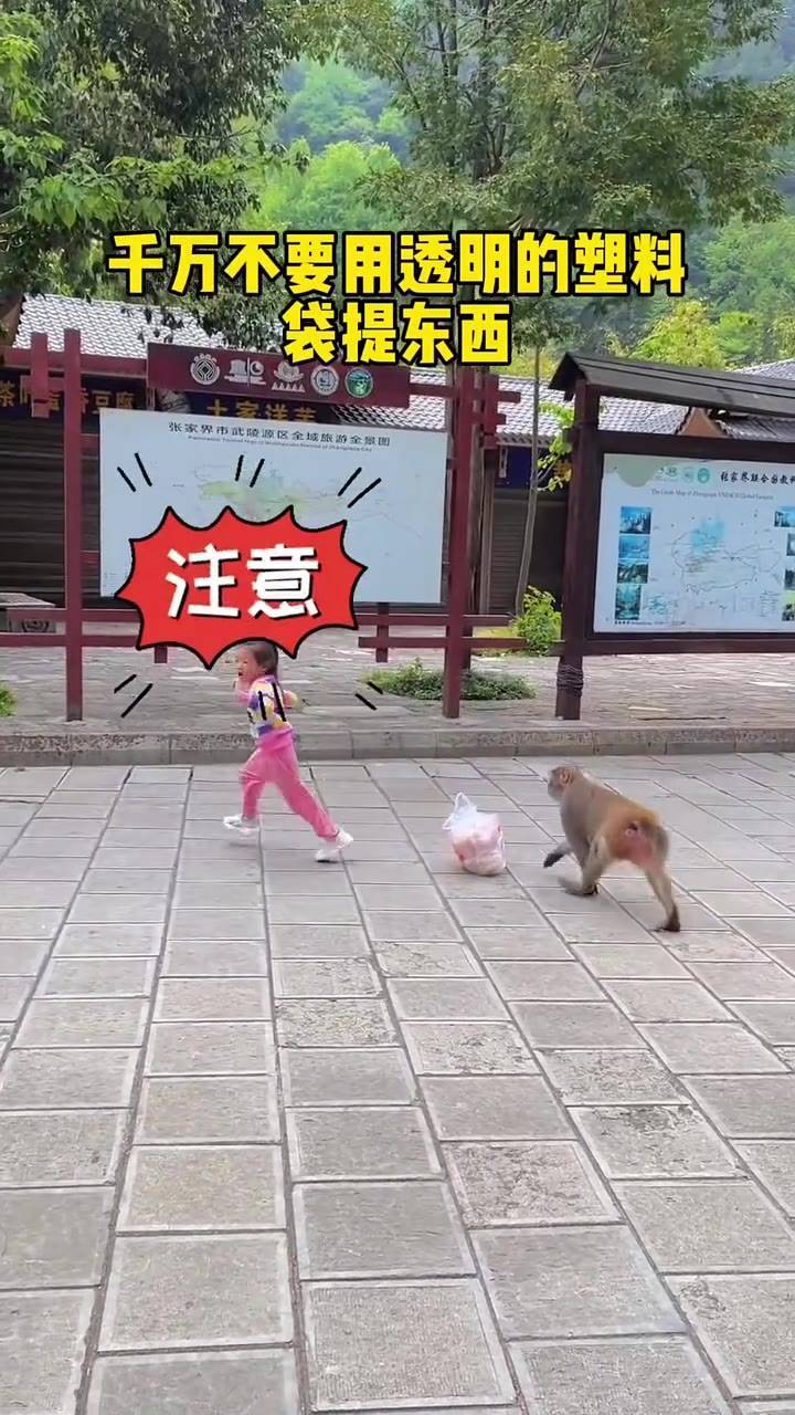 张家界5天4晚的半自由行,宝藏级攻略来了