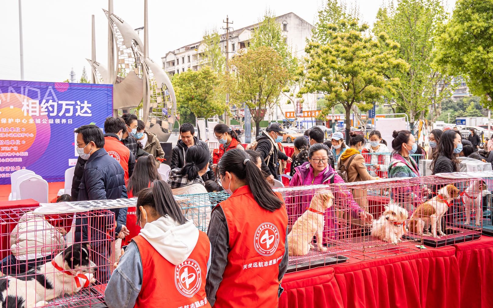 第十一届荆州市流浪小动物全城公益领养日活动圆满结束!暖心回顾