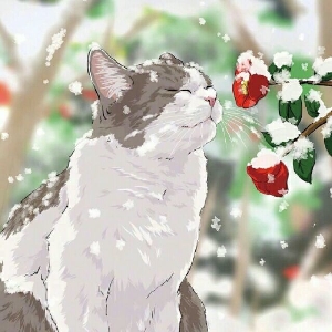苍山负雪踏雪寻梅 