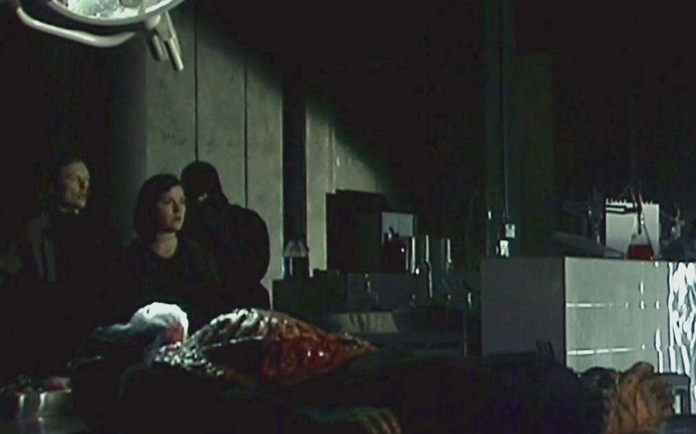 【熊猫】动物保护组织成员释放实验大猩猩,使整个伦敦感染病毒,变为...