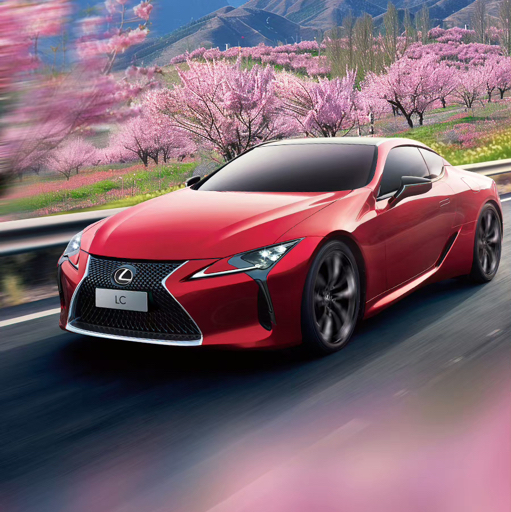 福建宾联雷克萨斯小雷 