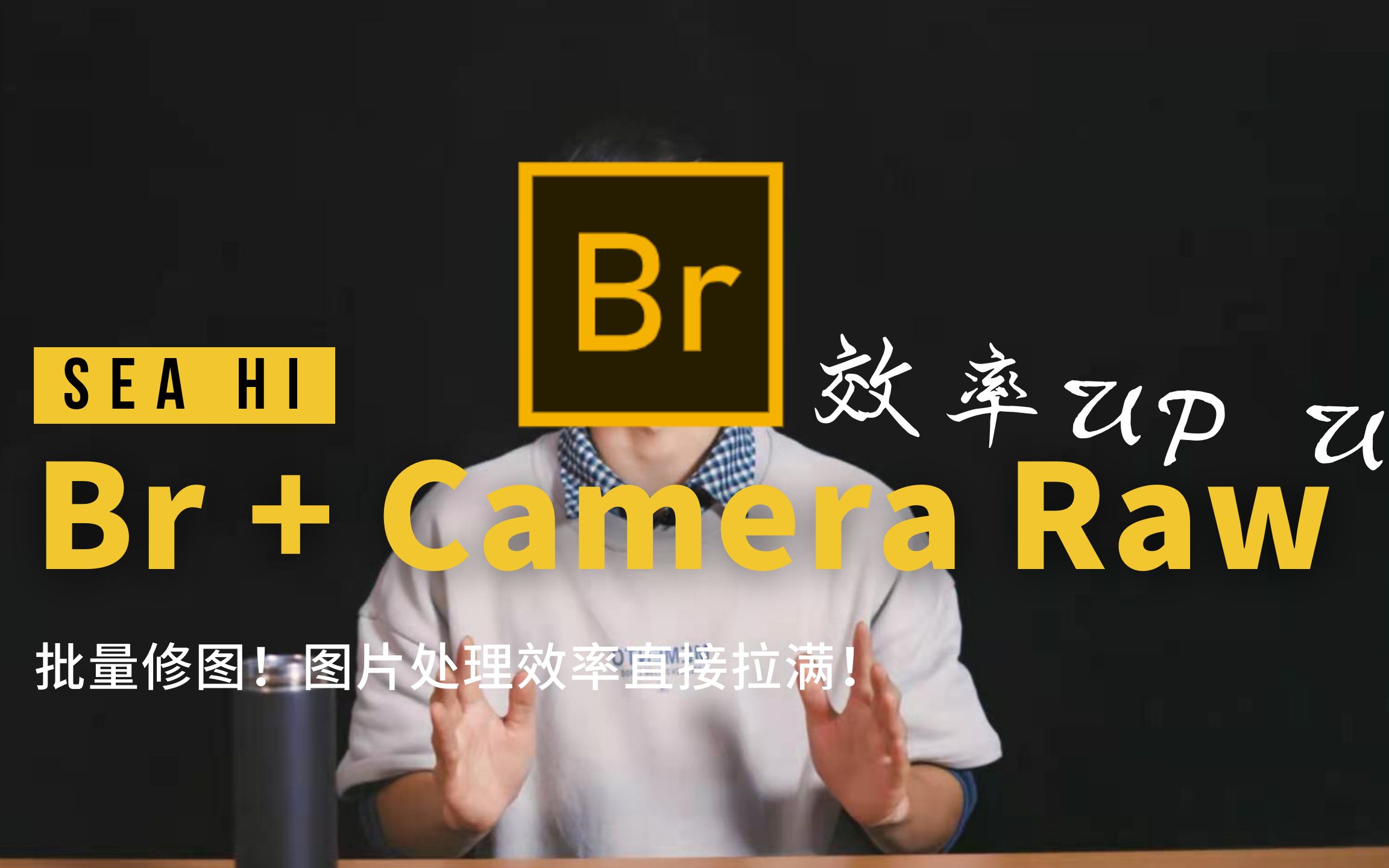 「Sea Hi」Lr经常崩?那就Br+Camera raw,摄影进阶必备!让你的批量...