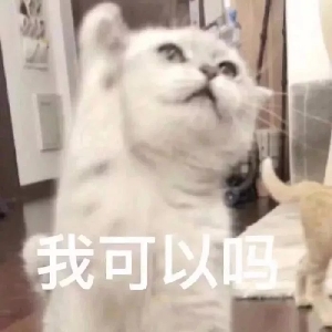 kerolino 
