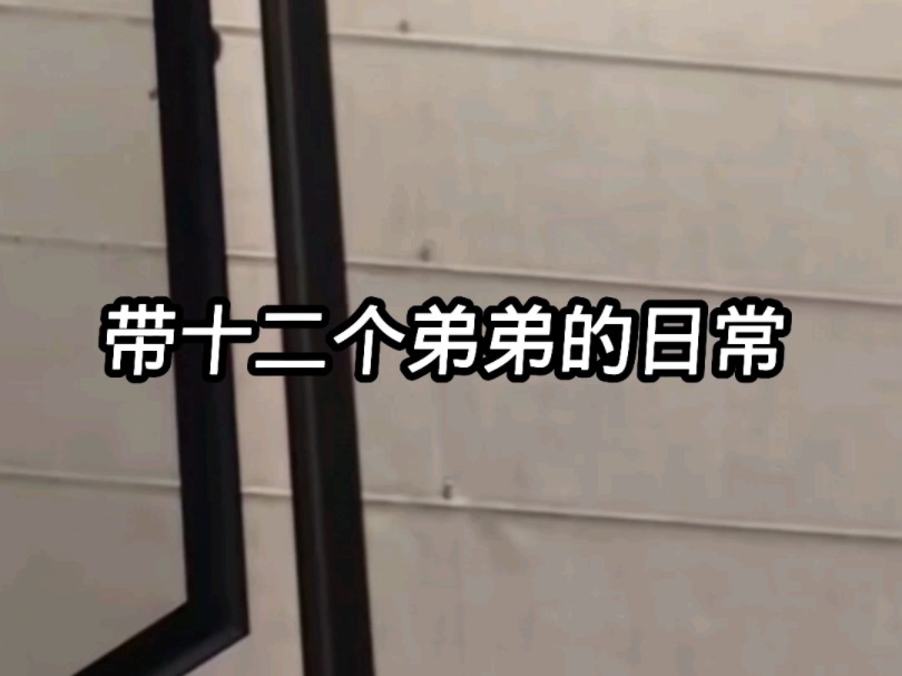 【TF家族三代做梦素材】(1)带十二个弟弟的日常…