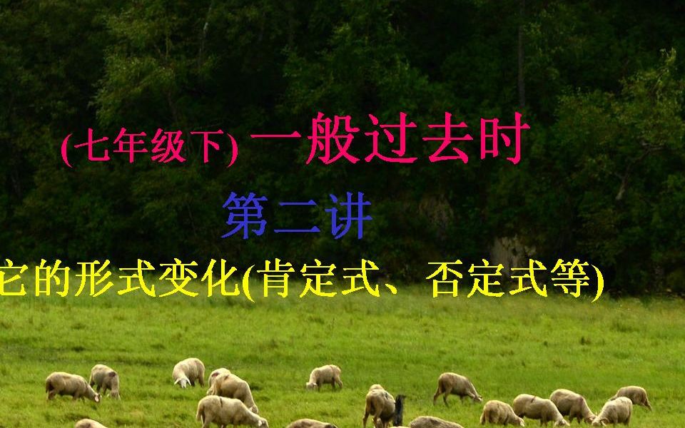 一般过去时(第二讲):它的形式变化如肯定句、否定句和疑问句等