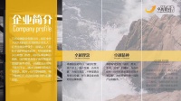 江西卓越银业有限公司-贵金属项目投资说明书 [一念花开 PPT制作案例]