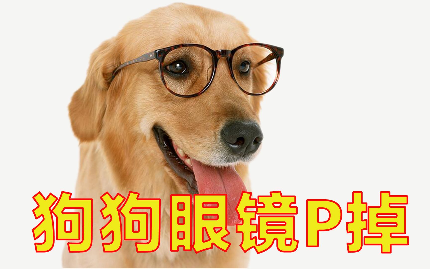 PS图片处理P图帮小女孩的狗狗图片上的眼镜P掉,P图实操