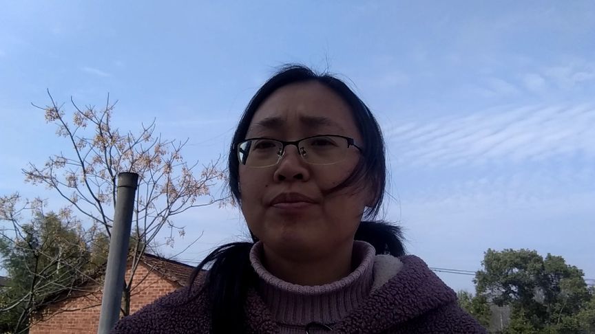 支付宝后台健康码,绿码变灰码,什么情况,回不了家了。