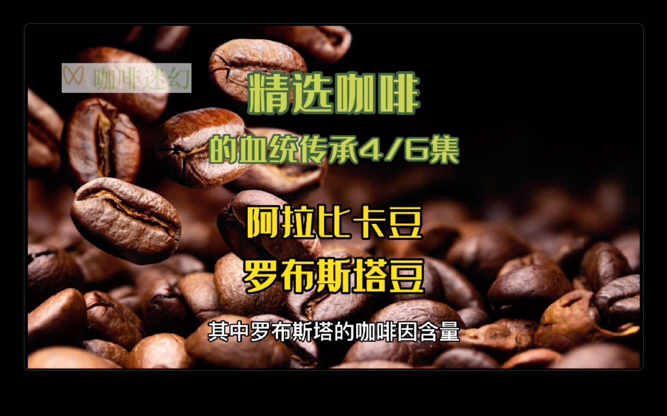 精选咖啡的血统传承4/6集——阿拉比卡豆与罗布斯塔豆的比较