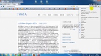 1.2、重要浏览器及其插件(Google 英文SEO视频教程)