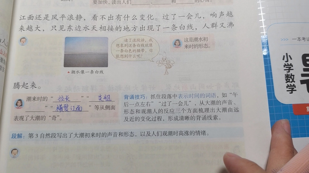 年级第一的暑假计划:20天预习3单元,不超纲学,不太超前学