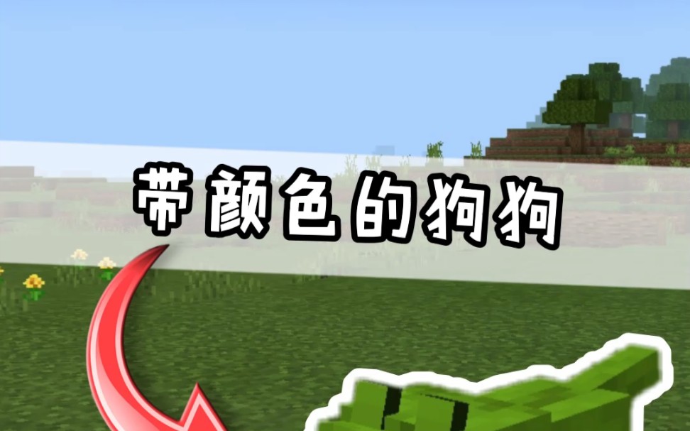 教你召唤有颜色的狗狗_哔哩哔哩bilibili_我的世界