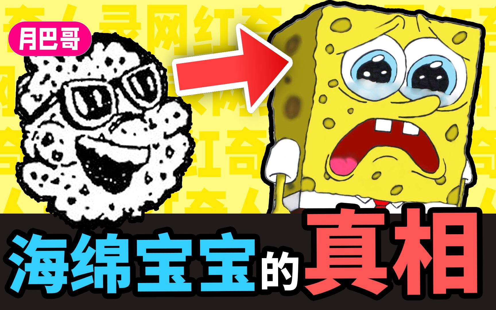 你真的了解这部神作吗?海绵宝宝背后的故事【网红奇人录23】