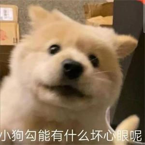 一只桶