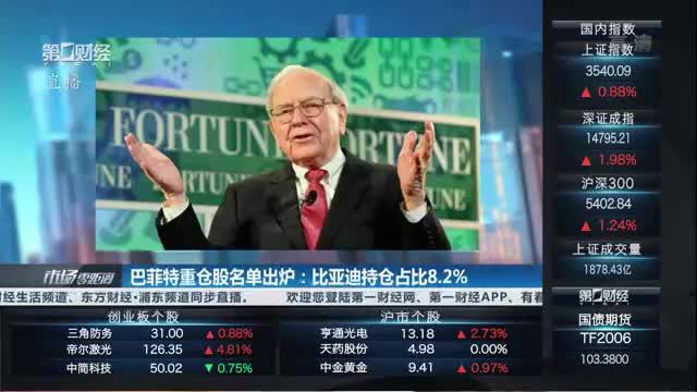 巴菲特重仓股名单出炉:比亚迪持仓占比8.2%