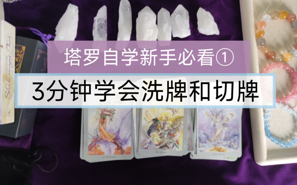 塔罗自学3分钟学会洗牌和切牌
