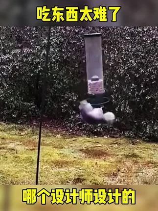 吃东西太难了,哪个设计师设计的