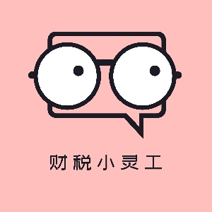 财税小灵工 
