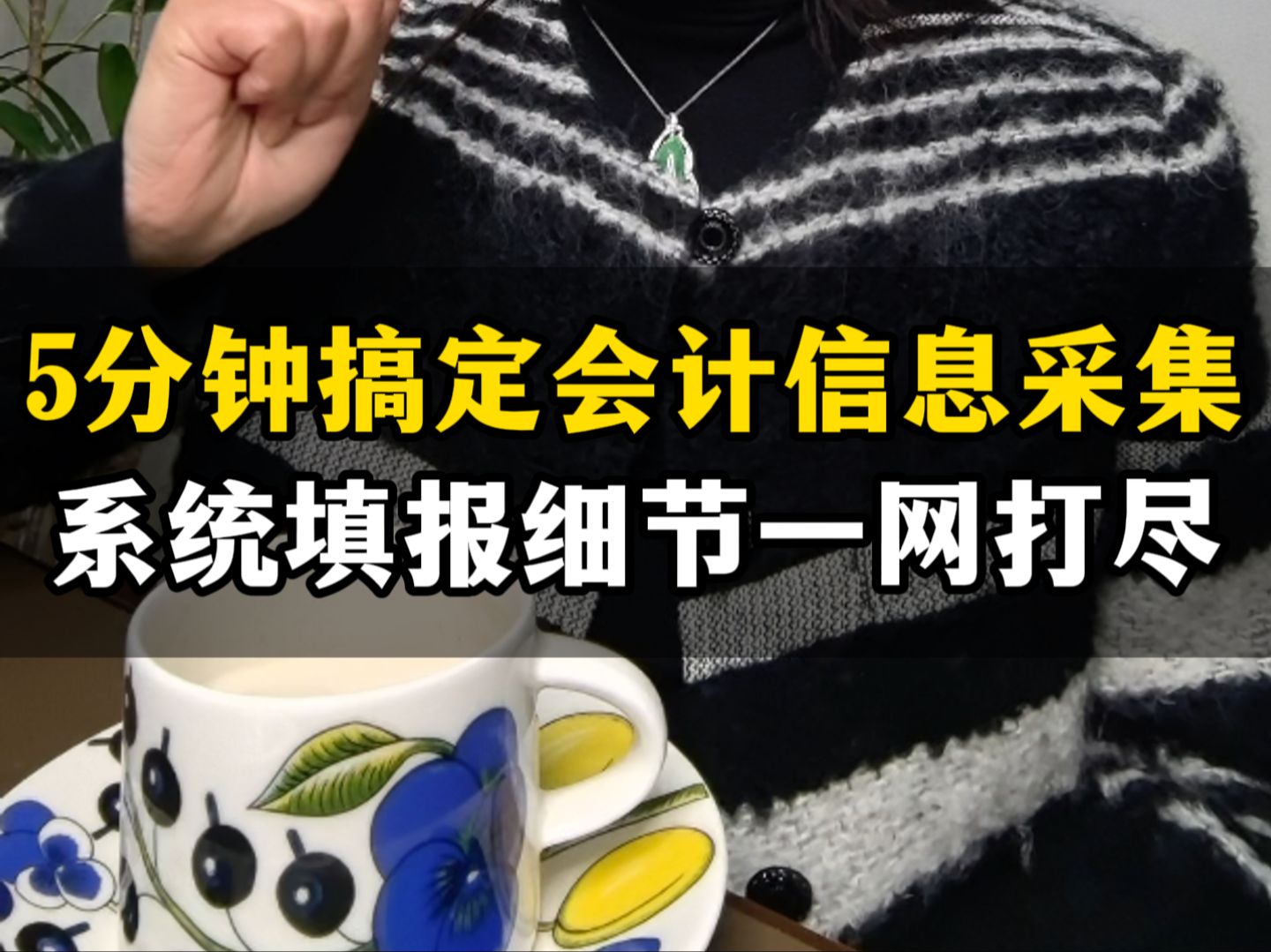 会计信息采集填报指导!全网独一份!超详细