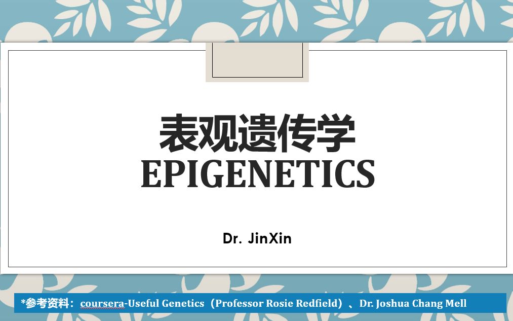 表观遗传学