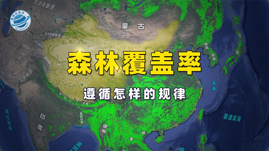 世界森林覆盖率:遵循怎样的规律?