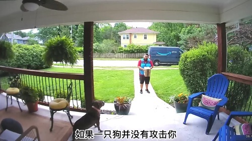 当你被狗追咬时,该如何进行自救?