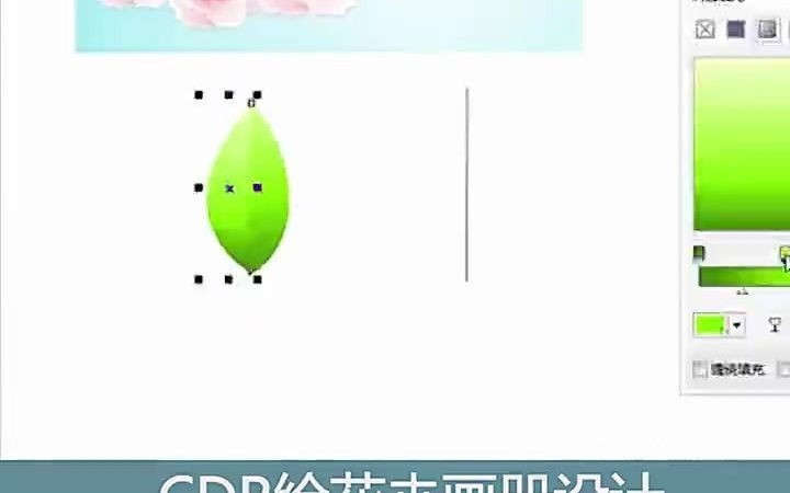 【平面设计入门教学】CDR怎么绘制花卉画册 平面设计的常识有哪几个